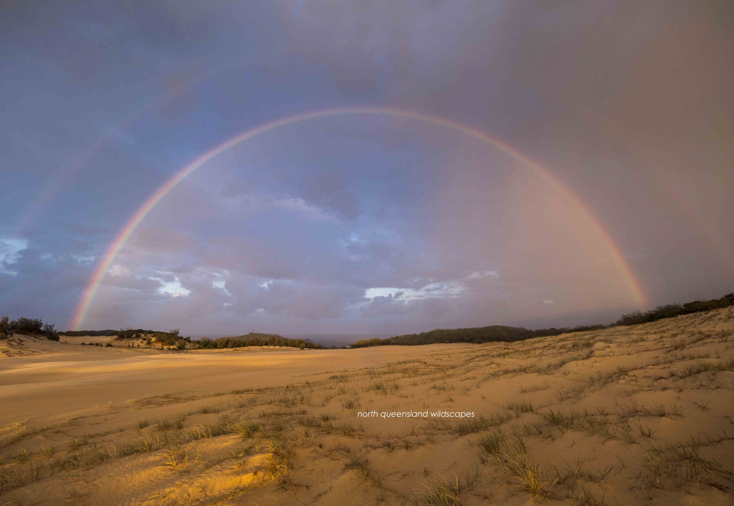Central Southern Fraser Island | NQ_Wildscapes